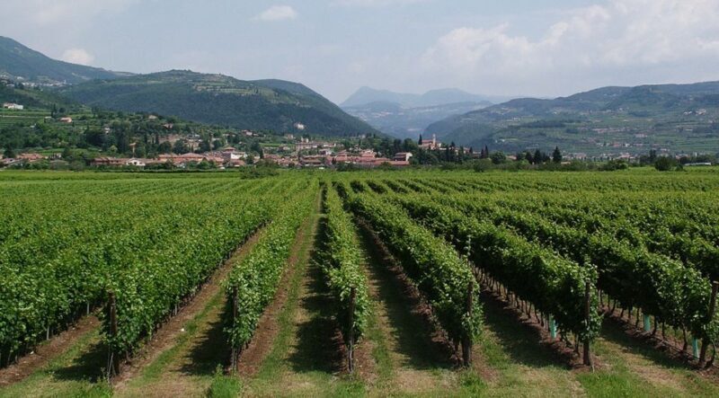 Veneto: Amarone Cooking and Tasting Experience in a Villa - Frequently Asked Questions