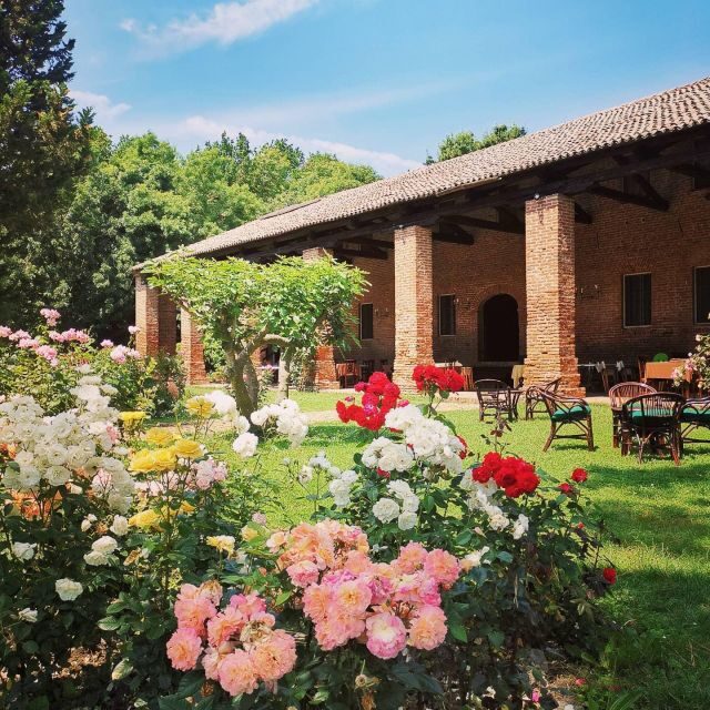 Veneto: Hands-On Cooking Class & Lunch - Farm outside Venice - The Verdict: Is It Worth Your Time?