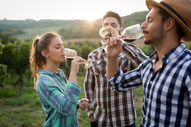 Veni vidi vino - the Freiburg wine hike - Key Points