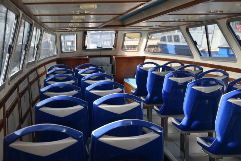 Venice: 1-Hour Panoramic Boat Tour - Practical Tips for Travelers