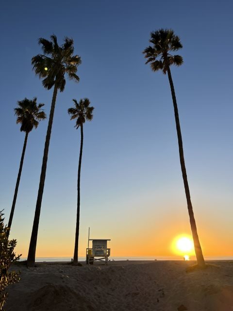 Venice Beach : French guided walking tour - An In-Depth Look at the Tour Experience