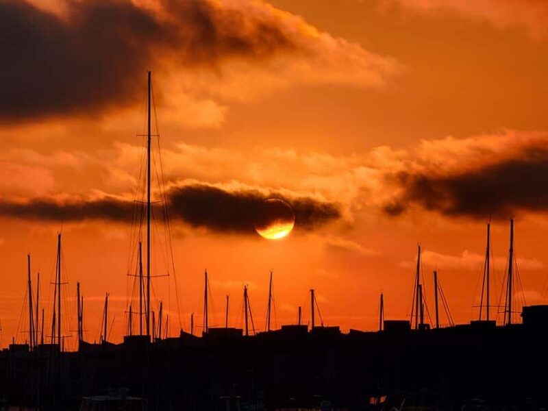 Venice Beach & Malibu View Boat Cruiser- Music Wine Sealions - Who Will Love This Tour?