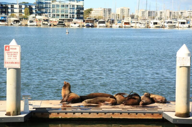 Venice California: Half Day Tour in Open Air Bus - FAQ