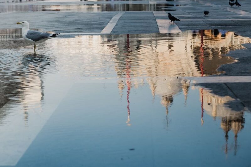 Venice: City Tour and Murano Glass Experience - FAQ