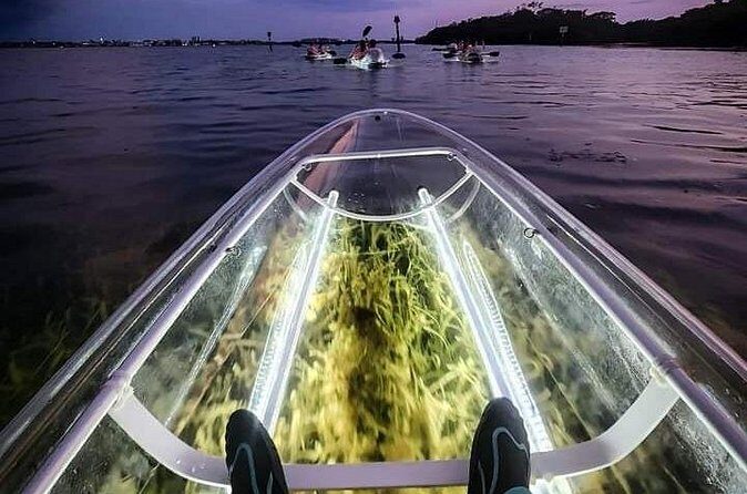 Venice Clear Kayak Glass Bottom LED Night Tour - The Sum Up: Who Will Love This Tour?
