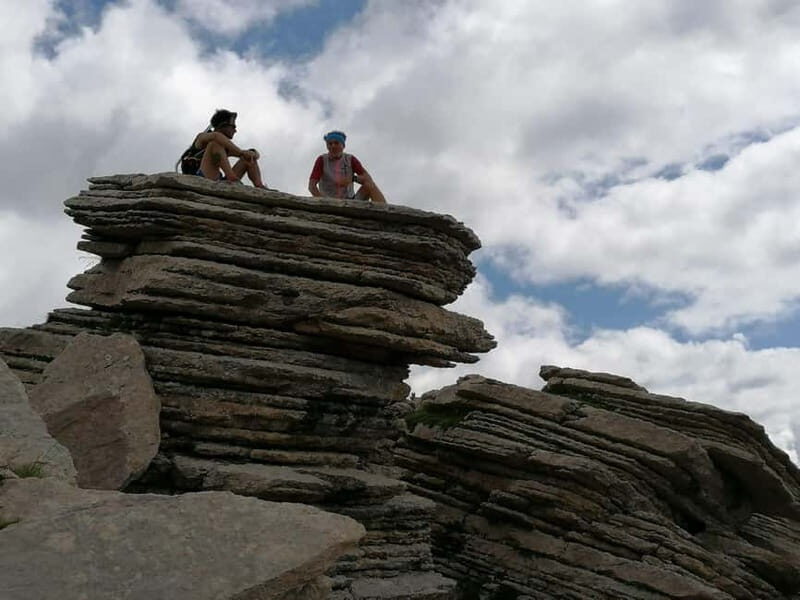 VENICE : DISCOVER WILD ANIMALS IN THE DOLOMITES - What Makes This Tour Stand Out