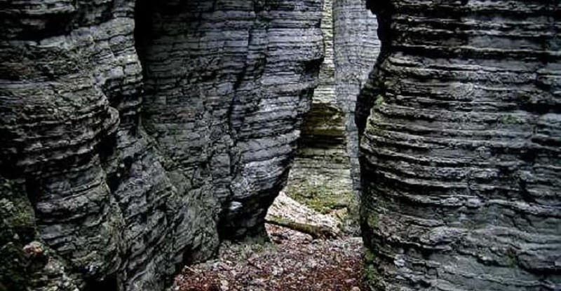 VENICE : DISCOVER WILD ANIMALS IN THE DOLOMITES - Who Should Consider This Tour?