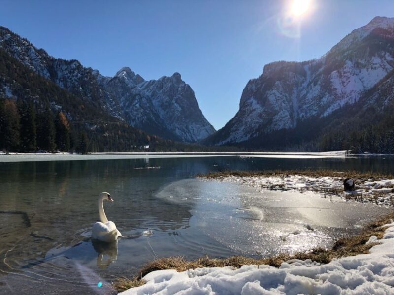 Venice: Dolomites & Cortina d'Ampezzo - Introduction: A Day with Breathtaking Views and Local Charm