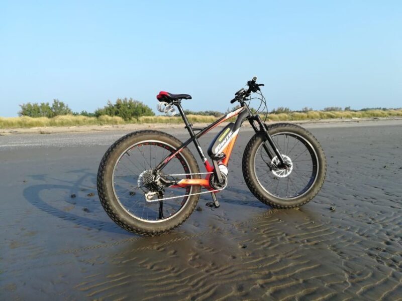 Venice E-bike Rental - Introduction
