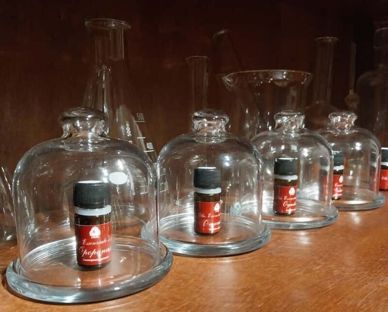 VENICE, FRANKINCENSE AND MYRRH! A JOURNEY ON AROMATICS TRADE - An Authentic Aromatic Voyage into Venice’s Trade Past