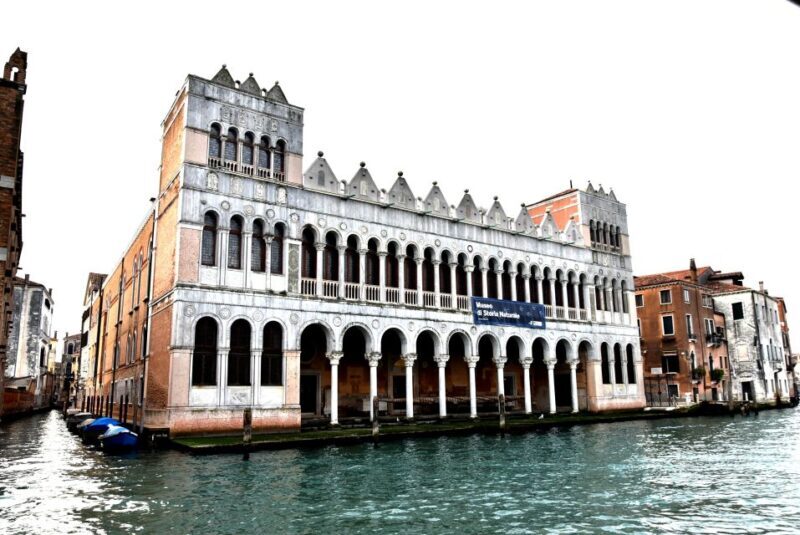 Venice: Natural History Museum Entry Ticket - Reviews & Authentic Voices