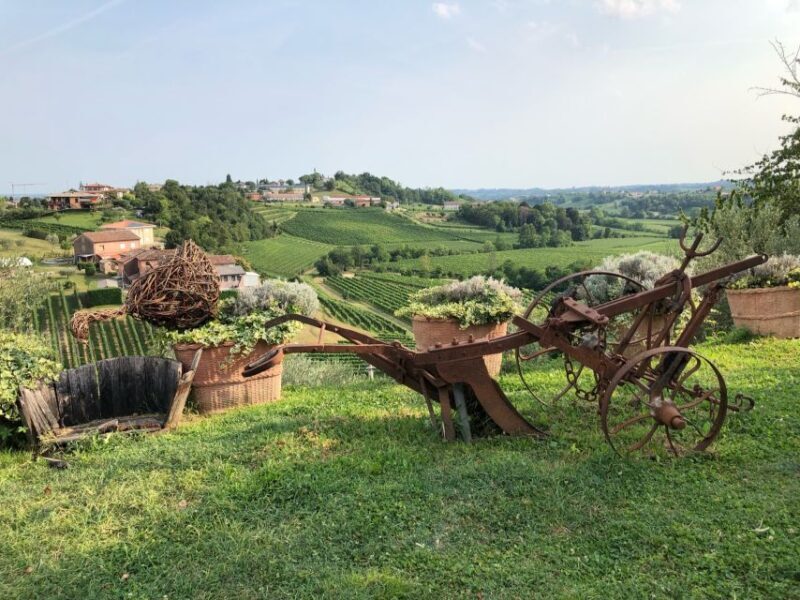 Venice: Prosecco Hills Wineries Tour with Tastings and Lunch - Key Points