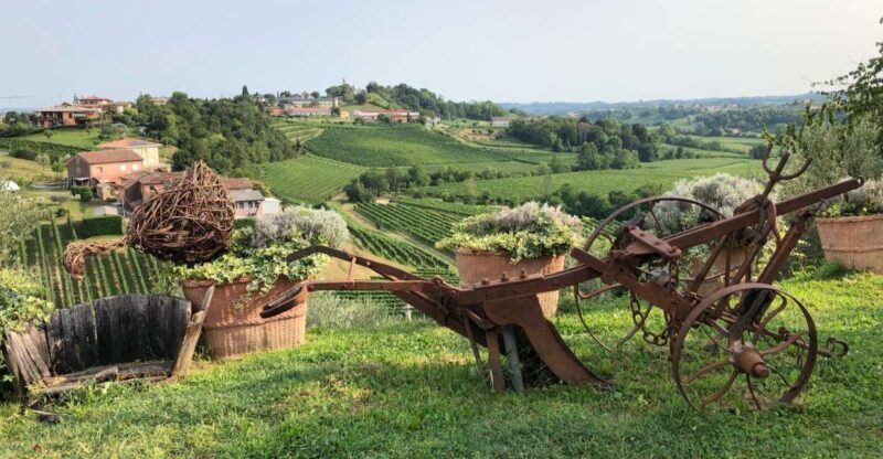 Venice: Prosecco Hills Wineries Tour with Tastings and Lunch - An In-Depth Look at the Experience