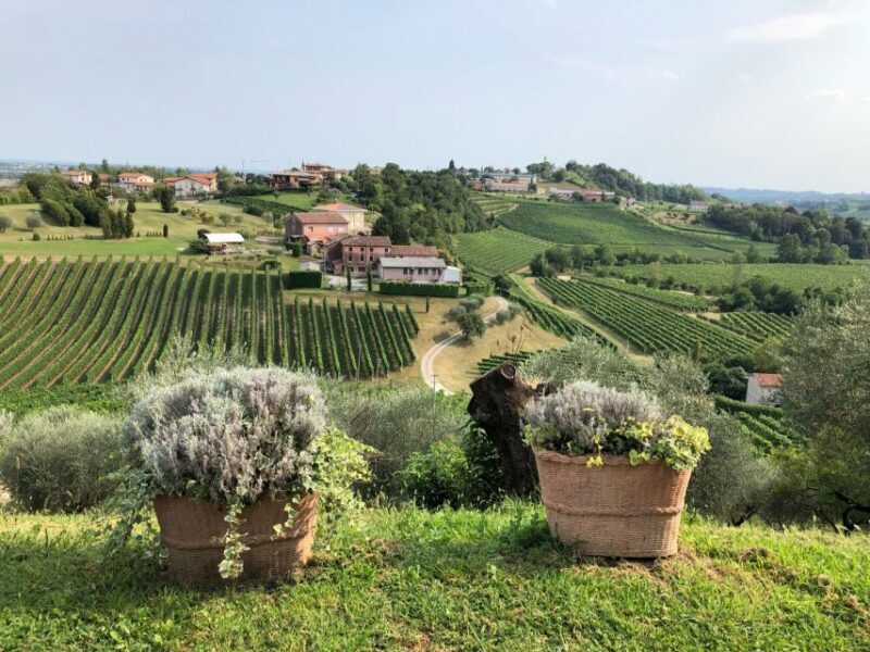 Venice: Prosecco Hills Wineries Tour with Tastings and Lunch - Final Thoughts