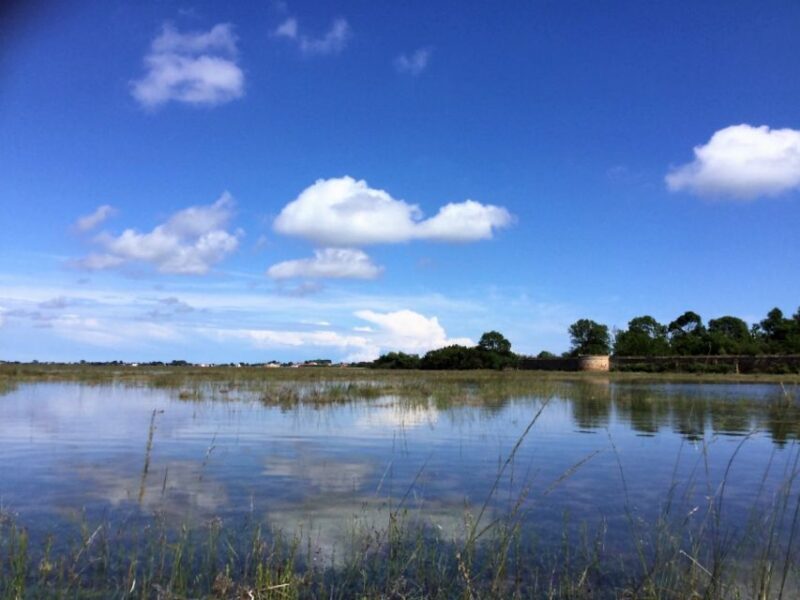 Venice: SantErasmo, Vignole, and Lagoon Kayaking Tour - Experience Overview