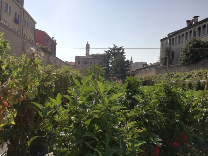 Venice: Secret City Gardens Walking Tour - Key Points