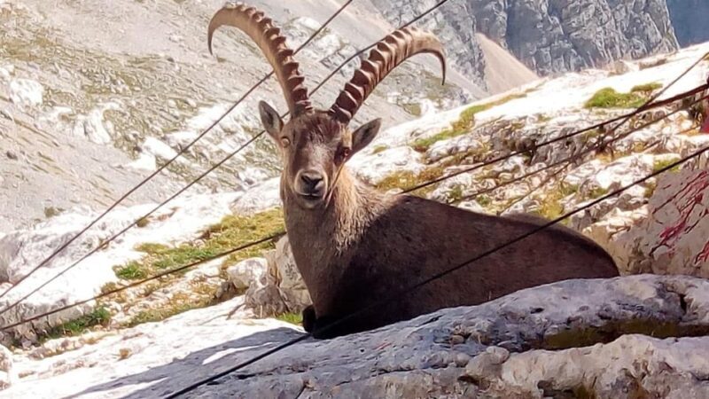 VENICE : Tour of Dolomites Unesco - The Sum Up: Is This Tour Worth It?