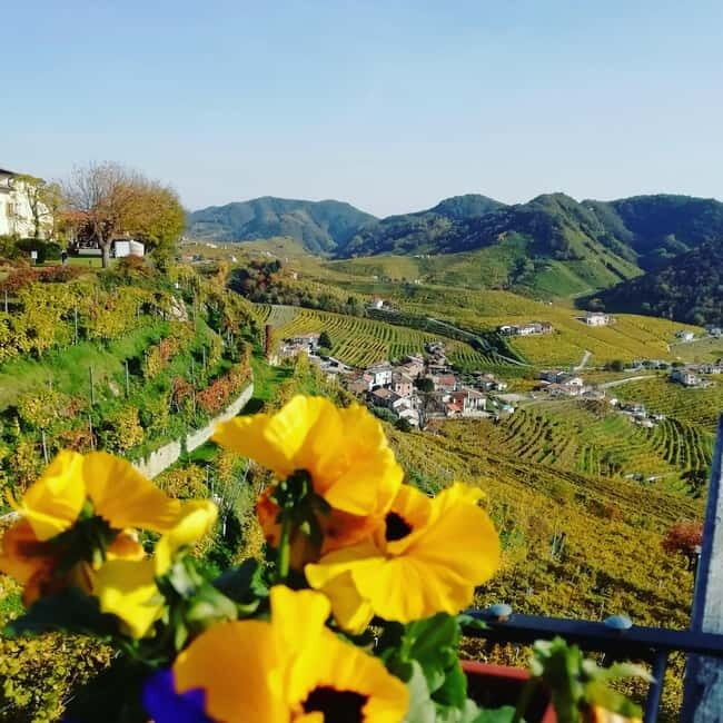 Venice: wine tour tasting along the Unesco Prosecco hills - Key Points