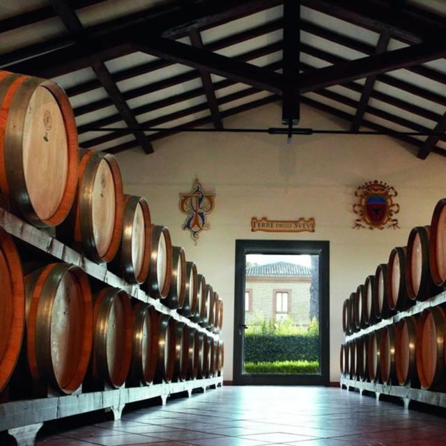Venosa: Re Manfredi Winery Tour with Tastings - An In-Depth Look at the Tour Experience