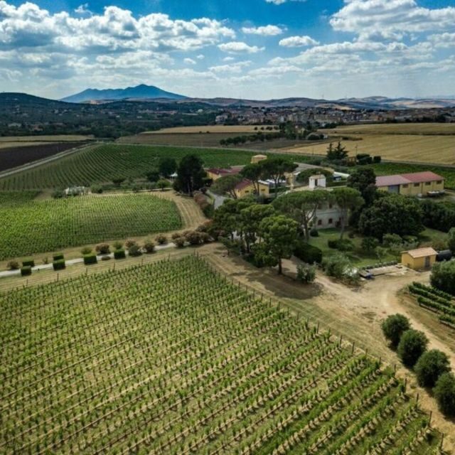 Venosa: Re Manfredi Winery Tour with Tastings - Final Thoughts: Is It Worth It?