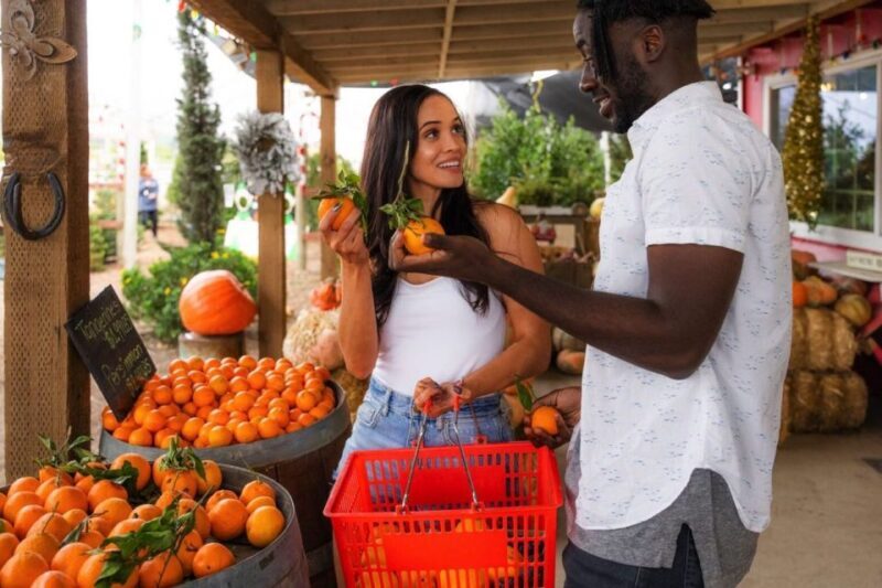 Ventura: Rail Bike Guided Tour with Farm Stand Stop - Authenticity and Authentic Experiences