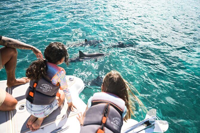 Venture Wildlife Snorkel Charter from Ko Olina - How This Tour Fits Into Your Oahu Vacation