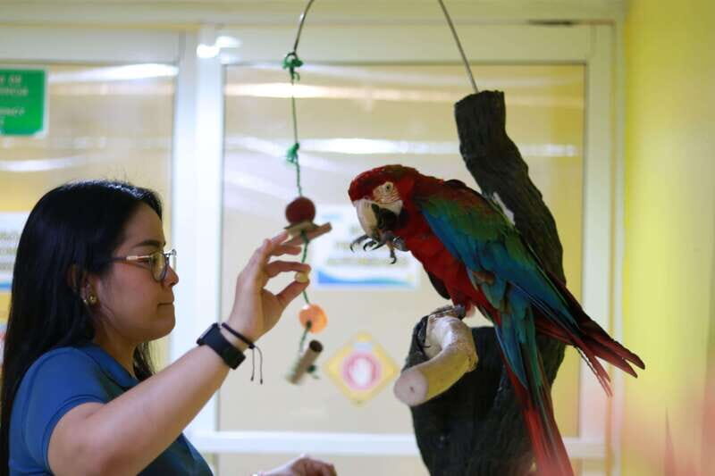 Veracruz: 5-Attraction Tour with Aquarium and Boat Tour - Key Points