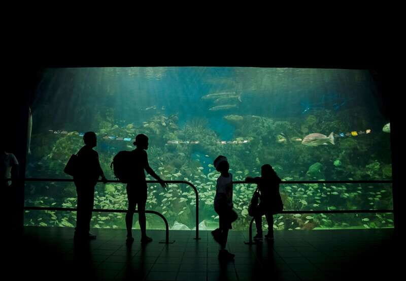 Veracruz: Panoramic Sightseeing City Tour and Aquarium - Who Should Consider This Tour?