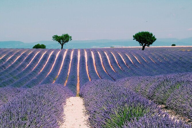 Verdon Gorge: The Grand canyon of Europe, Lake and Lavender - The Practicalities: Comfort, Cost, and Convenience