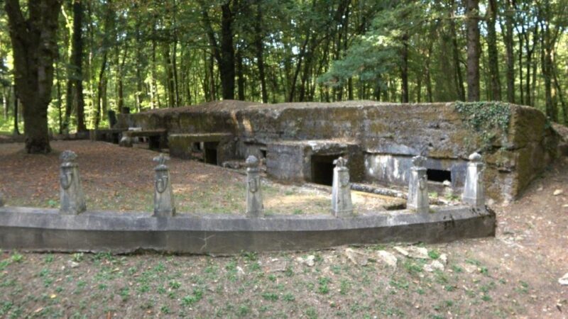 Verdun: 1916 Hell of the Battle - An In-Depth Look at the Verdun Experience