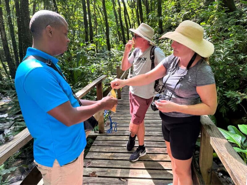 Vermont Nature Trail and Bird Watching Tour - Vermont Nature Trail and Bird Watching Tour: A Genuine Adventure in Saint Vincent