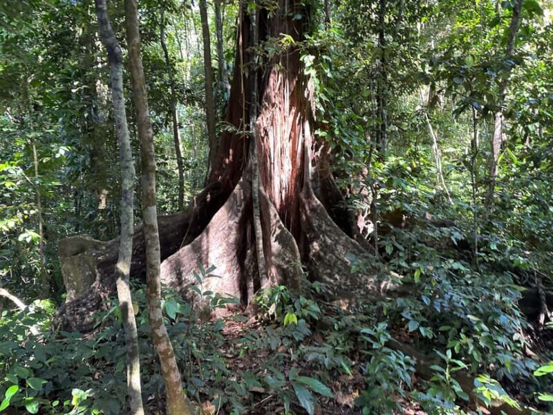 Vermont Nature Trail and Bird Watching Tour - The Sum Up: A Must-Do for Nature Enthusiasts