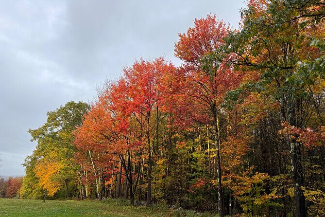 Vermont Wayfinders Fall Foliage Private Tour - Key Points