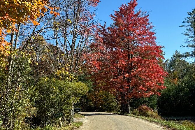 Vermont Wayfinders Fall Foliage Private Tour - An In-Depth Look at the Vermont Fall Foliage Private Tour