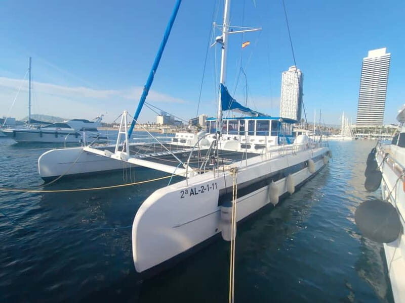 Vermouth on Catamaran: A Gastronomic Experience in Barcelona - Setting Sail for Barcelona’s Skyline