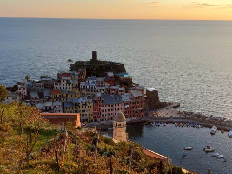 Vernazza (5 Terre): olive grove tour and oil and wine tasting - The Itinerary: What Youll Experience