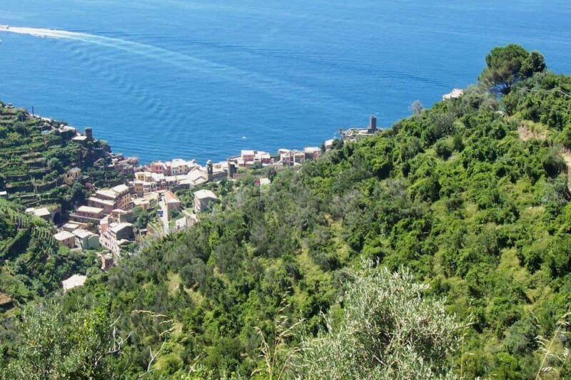 Vernazza (5 Terre): olive grove tour and oil and wine tasting - Who Will Really Enjoy This Tour?