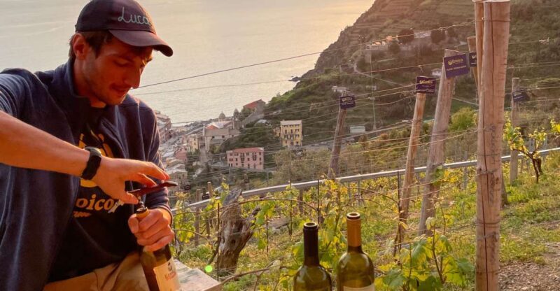 Vernazza: Panoramic Vineyard Trekking Tour w/ Wine Tasting - An Overview of the Tour Experience