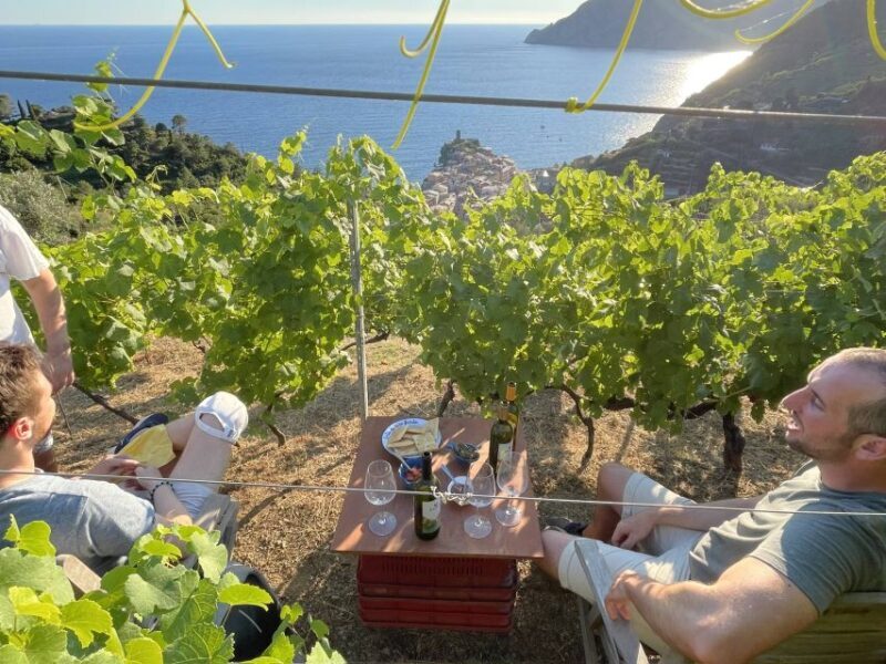 Vernazza: Panoramic Vineyard Trekking Tour w/ Wine Tasting - Final Thoughts