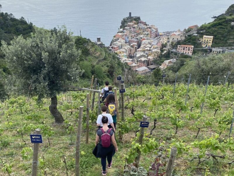 Vernazza: Panoramic Vineyard Trekking Tour w/ Wine Tasting - FAQ