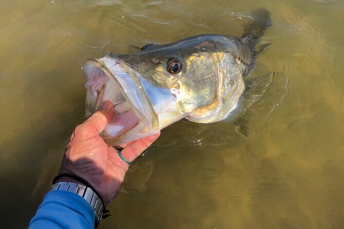 Vero Beach Inshore Fishing Guide Service - FAQ
