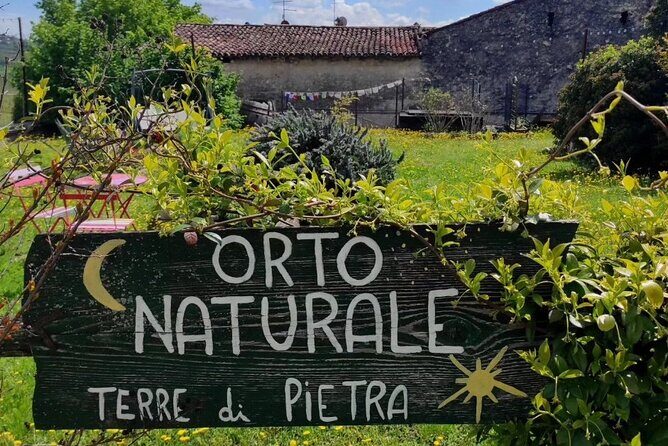 Verona - Cellar Tour and Tasting of NATURAL WINES - Final Thoughts
