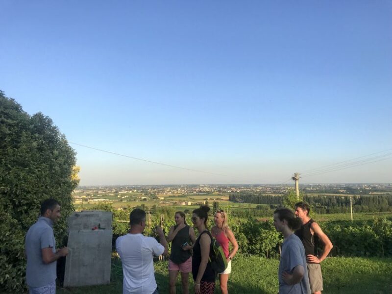 Verona: Custoza E-bike Tour - Who Should Consider This Tour?