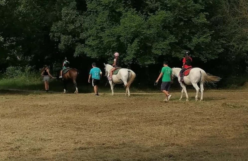 Verona: Horseback Ride Along the Adige River - Practical Details and Considerations
