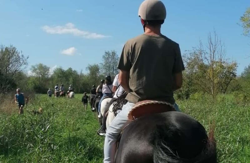 Verona: Horseback Ride Along the Adige River - Final Thoughts