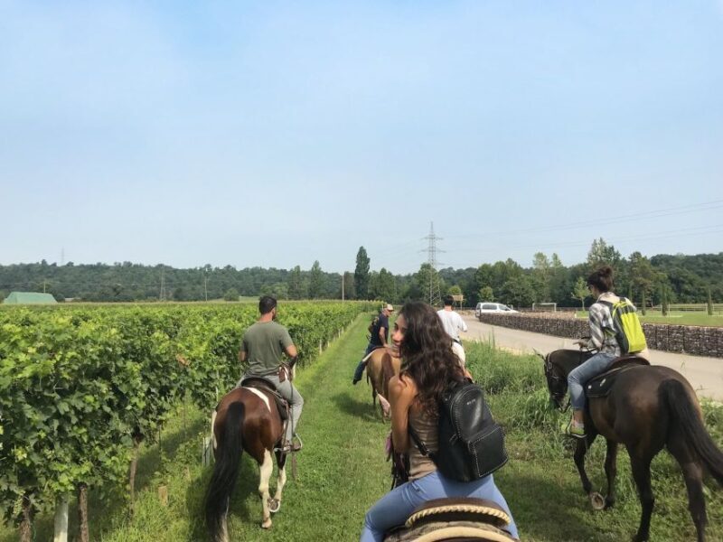 Verona: Horseback Riding and Wine Tasting Experience - Discover Verona’s Countryside with Horseback Riding and Wine Tasting