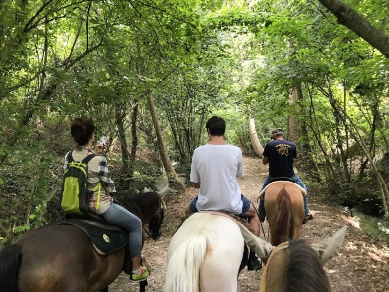 Verona: Horseback Riding and Wine Tasting Experience - What Makes This Tour Special?