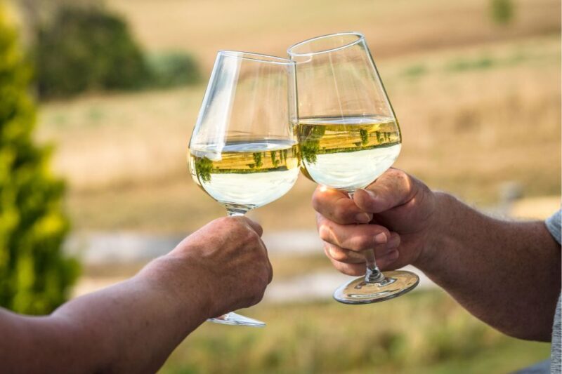 Verona: private tour of Soave and Amarone - Key Points