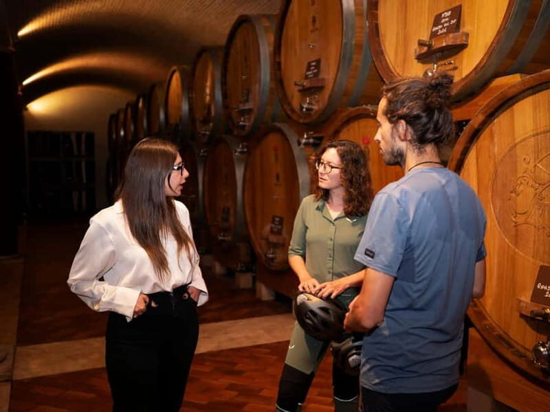 Verona: Valpolicella Wine Self-Guided E-Bike Tour & Tastings - The Experience in a Nutshell