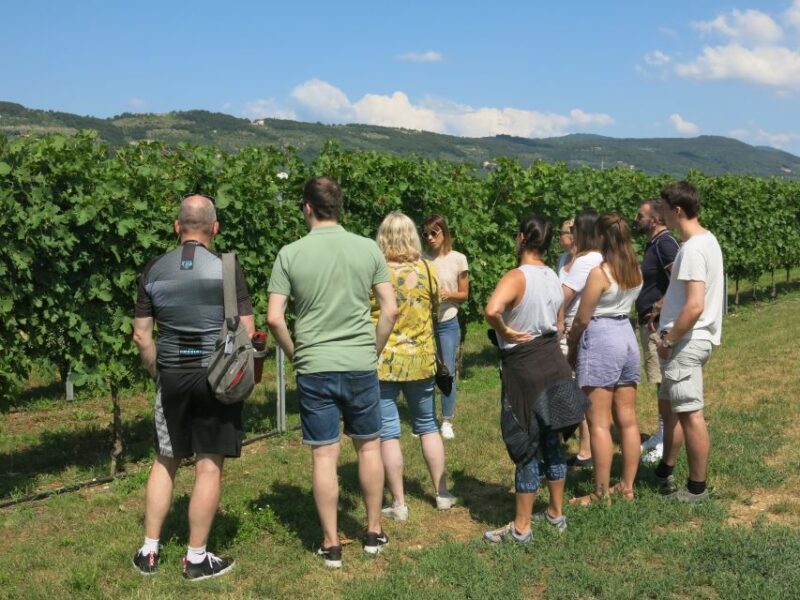 Verona: Valpolicella Wine Self-Guided E-Bike Tour & Tastings - Final Thoughts